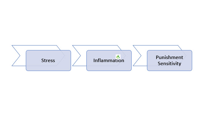 Depression and Inflammation Interactions - MoodSurfing